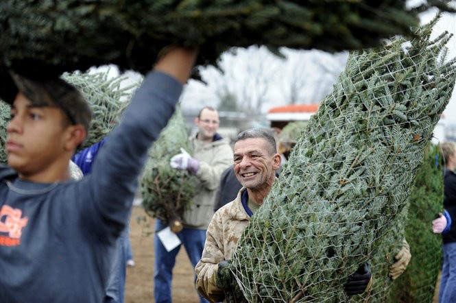 Trees for Troops - DONATE A CHRISTMAS TREE!