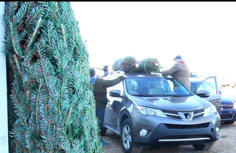 Retail/U-Cut - Wahmhoff Farms Nursery