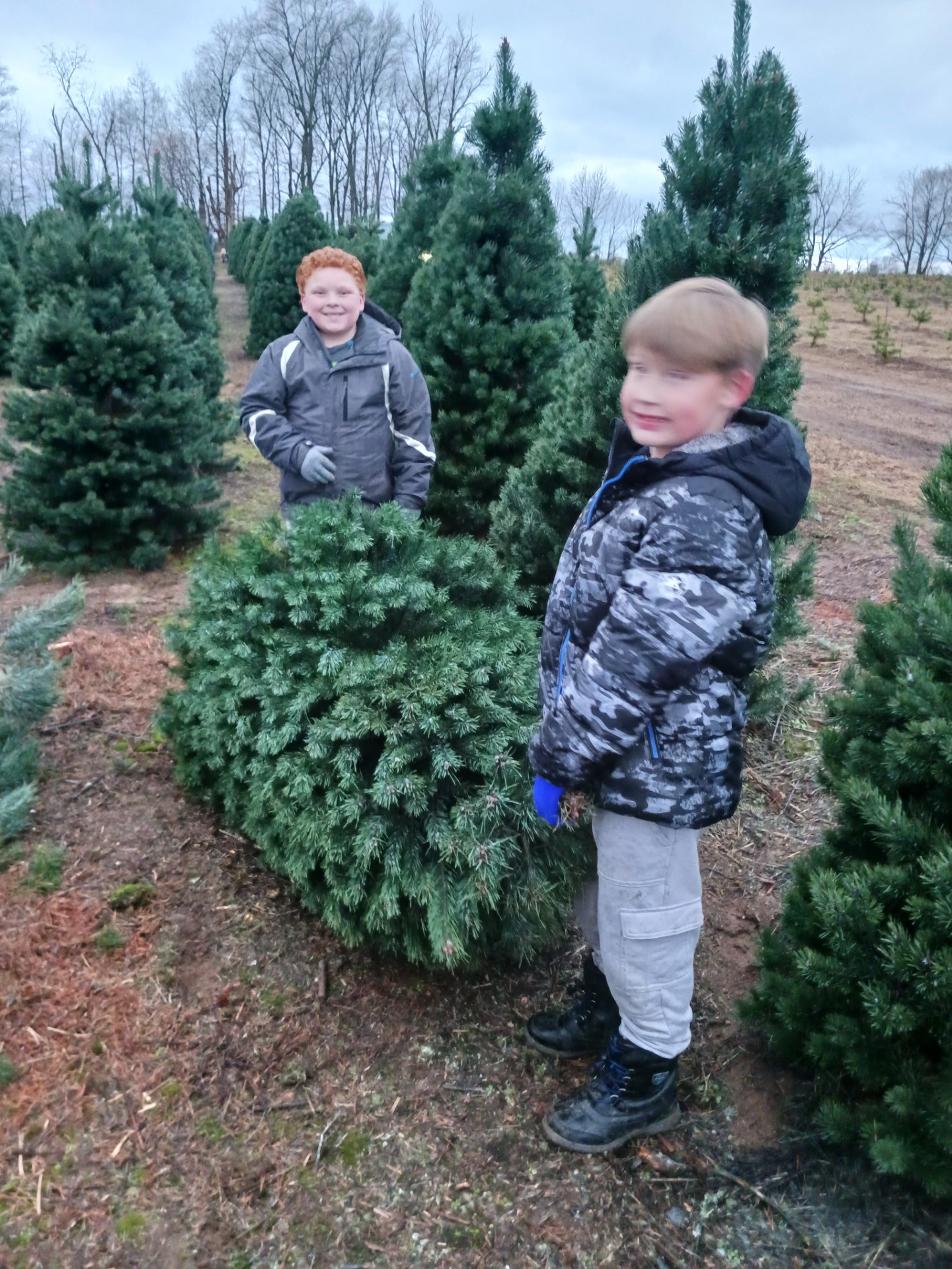 2024 Christmas Traditions Contest Winners - Wahmhoff Farms Nursery